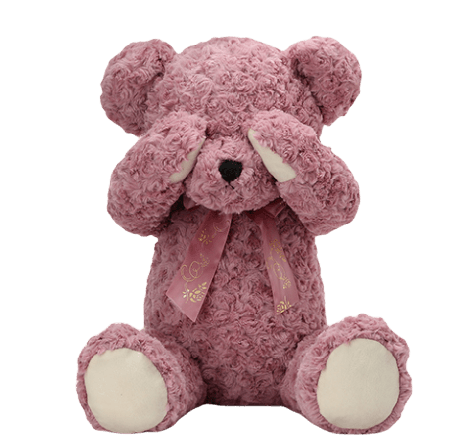 Shy Teddy Bear Toy - Pink